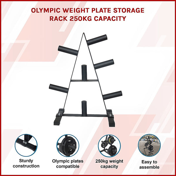 RTM Olympic Weight Plate Storage Rack 250kg Capacity - Cardio Online ...